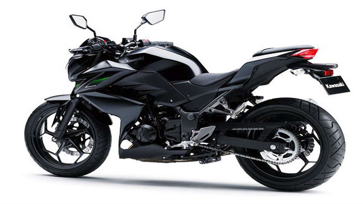 Kawasaki Z250 India Launch Nears As Bike Goes Under Homologation ...