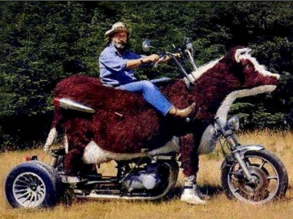 Weird Motorcycles | From Around The World | Modified | Custom Bikes ...