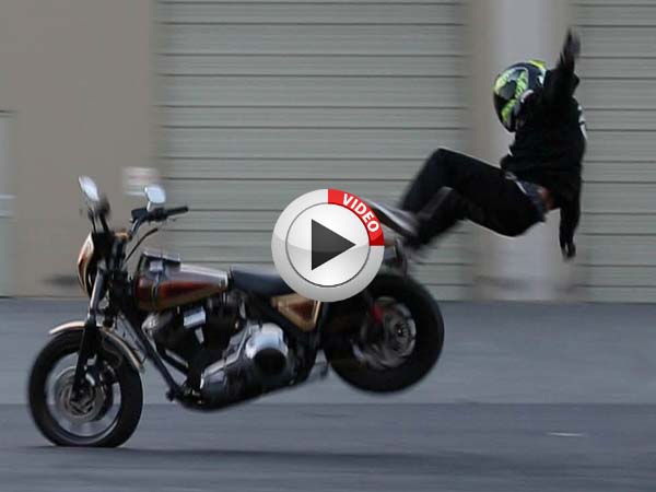 Skills Of A Ninja Required To Perform Wheelie On A Harley - DriveSpark