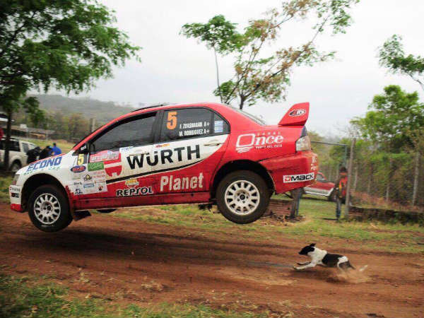 Watch This World's Luckiest Dog Makes A Miracle Escape From A Rally Car ...