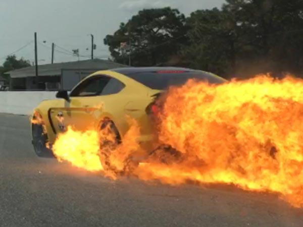 Ford Mustang Shelby GT 350 Catches Fire At Over 190km/h - DriveSpark