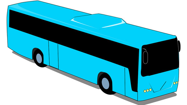 50 Low-Floor Blue Buses To Hit Delhi Roads Next Month Under Cluster ...