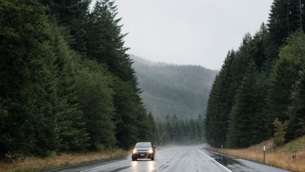 What is Hydroplaning? | Causes, Prevention, and Safety Tips - DriveSpark